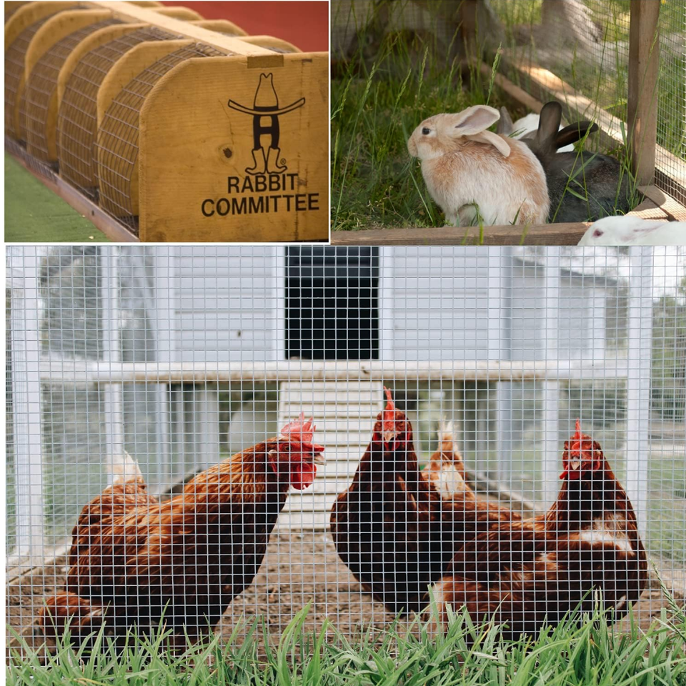 1"x1" Hardware Cloth Welded Wire Fence Vinyl Coated Chicken Rabbit Mesh ...
