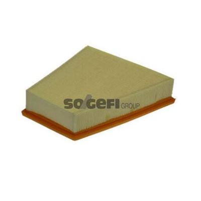 Purflux Air Filter A1113 | eBay