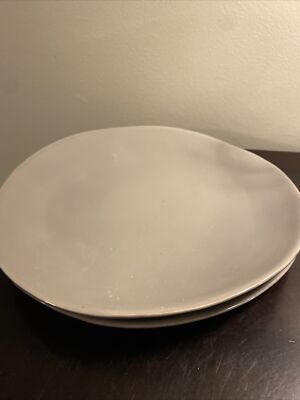 ASTISANAL KITCHEN SUPPLY CURVE DOVE GRAY SET OF TWO DINNER PLATES | eBay