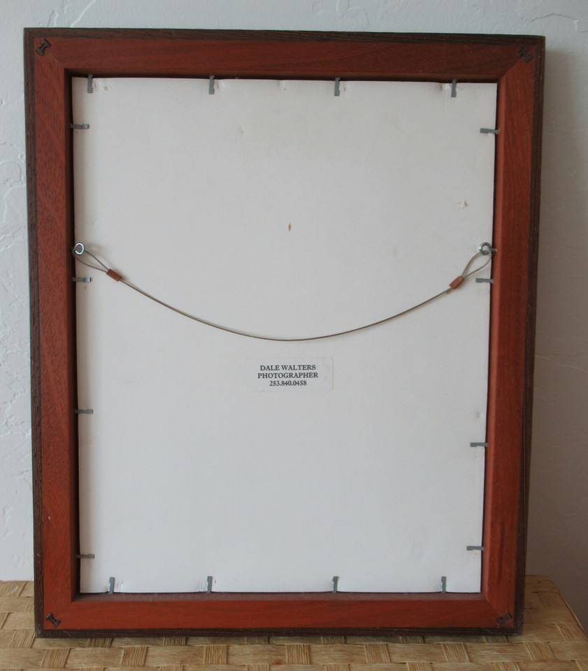 Framed, signed photographic print by Dale Walters | eBay