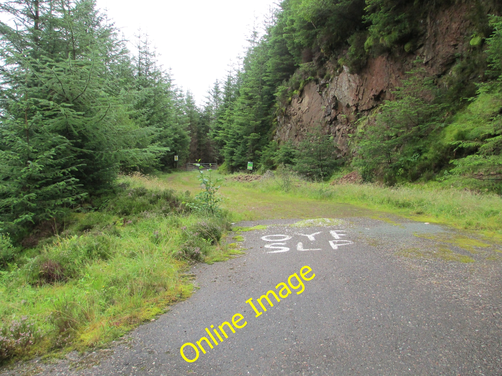 Photo 12x8 Track into Ratagan Forest I don't know the significance of ...