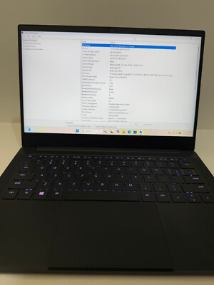Razer Blade Stealth 13 i7-1165G7 16GB 512GB 13.3" FHD 120Hz NVIDIA GTX ...