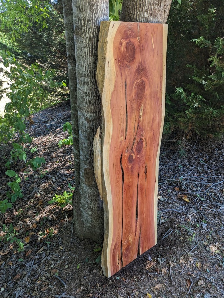 Cedar slab (thick slab) (Live Edge) Epoxy slab | eBay