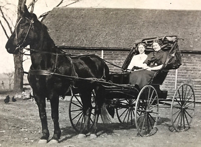 RPPC Photo Horse Drawn Covered Buggy Edwardian Women Barn Chickens Farm ...