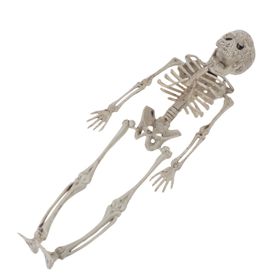 1Pc Unique Creepy Skeleton Prop Human Skeleton Model Halloween Scene ...