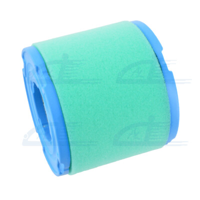 Pre & Air Filter for Briggs & Stratton 233400 243400 252400 254400 ...