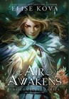 Air Awakens: The Complete Series by Elise Kova: New 9781949694239| eBay