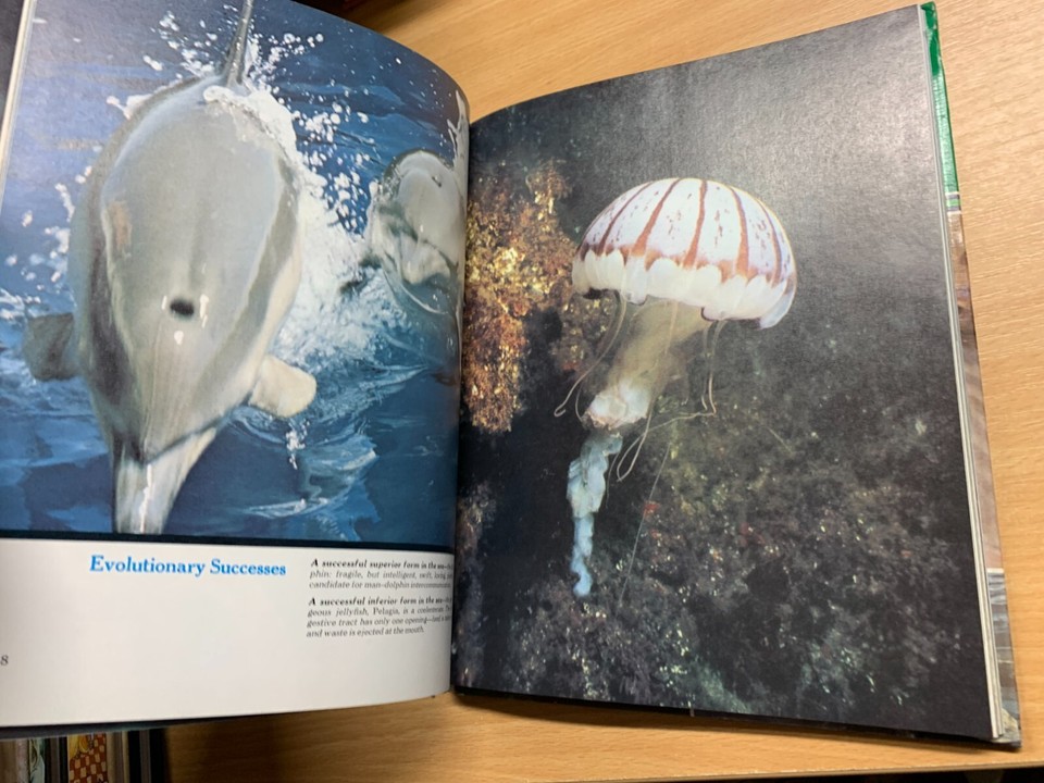 1975 "THE OCEAN WORLD OF JACQUES COUSTEAU THE ACT OF LIFE" HARDBACK ...