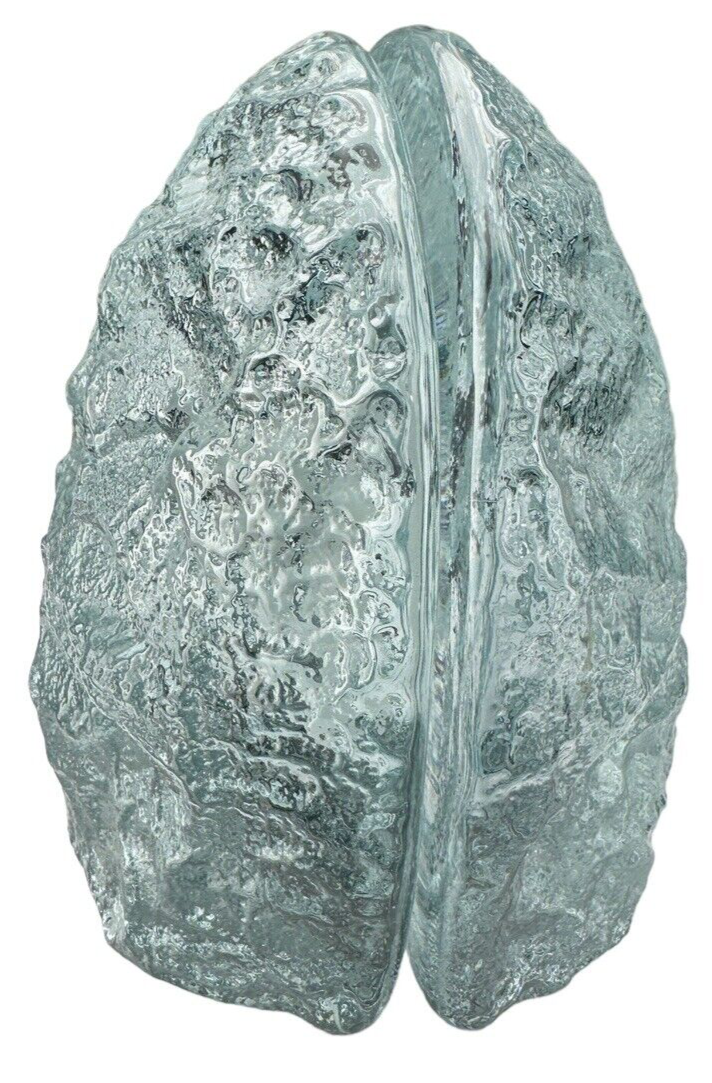 BLUE RIBBON GLASS Scottie Dog Crackle Ice Wedge Bookends Hand Crafted 5 ...