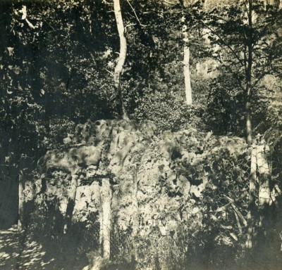 France Foret de Fontainebleau Forest Sponge Rock Old Stereo Photo SIP ...