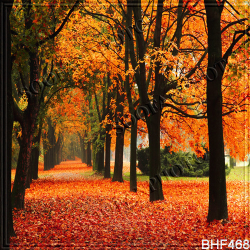 Fall Backgrounds For A Computer - Infoupdate.org