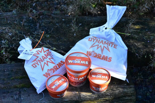Dynamite Baits Worms & Lobworms | eBay UK