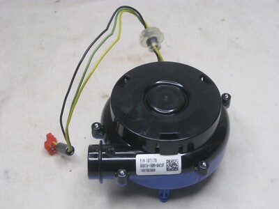 Fans - Blower Motor