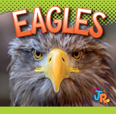 Eagles by Marysa Storm (English) Paperback Book 9781644664360| eBay