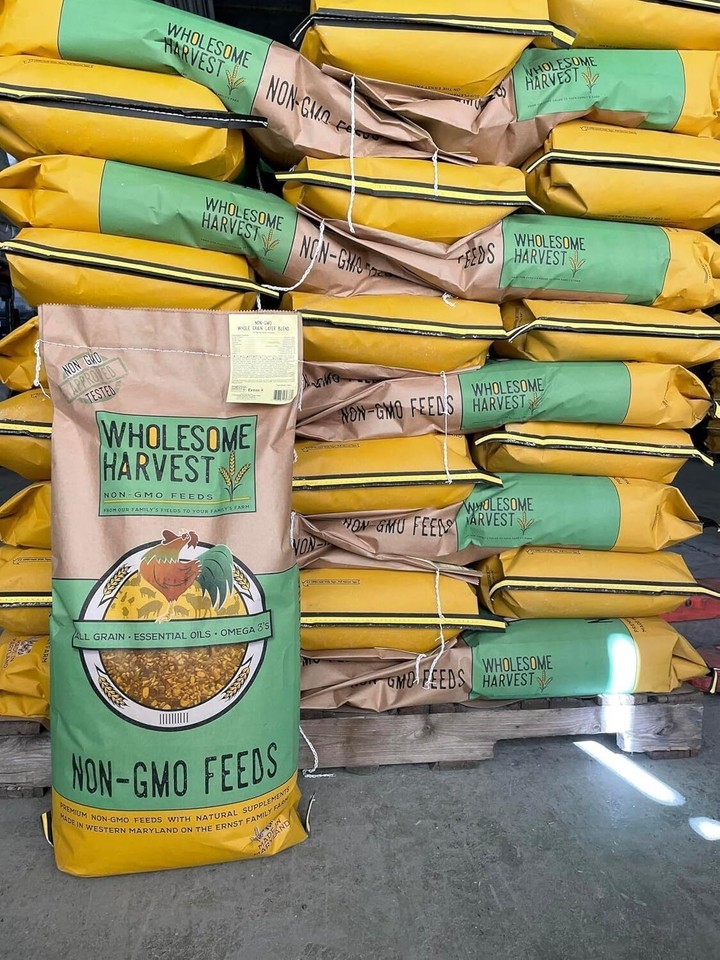 Quail Layer Feed 26% 40 lb Quail Food Button Quail Food Non-GMO | eBay