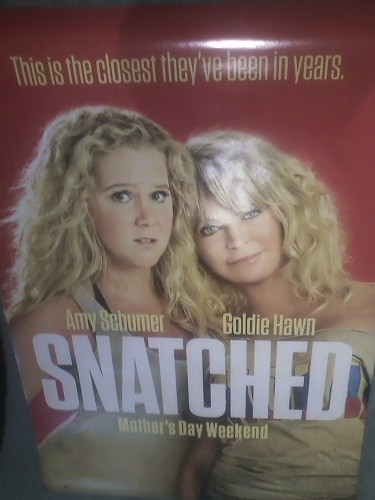 Snatched Movie Poster 2 Sided 27x40. | eBay
