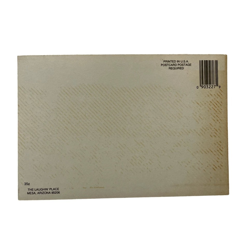 Vintage Postcard Western Novelty Ed Cleary Arizona Laughin Place Humor ...