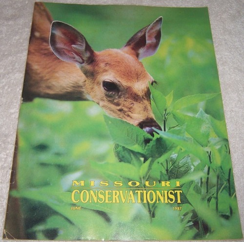 Missouri Conservationist Magazine June 1987 | eBay
