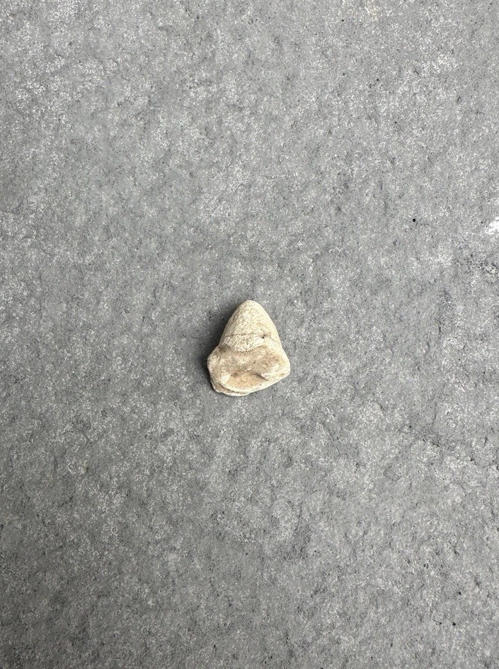 3 Civil War Minie Balls – Fired Bullets Dug Wilderness VA Battlefield ...