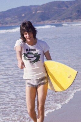 RICK SPRINGFIELD 24x36 inch Poster ON BEACH | eBay