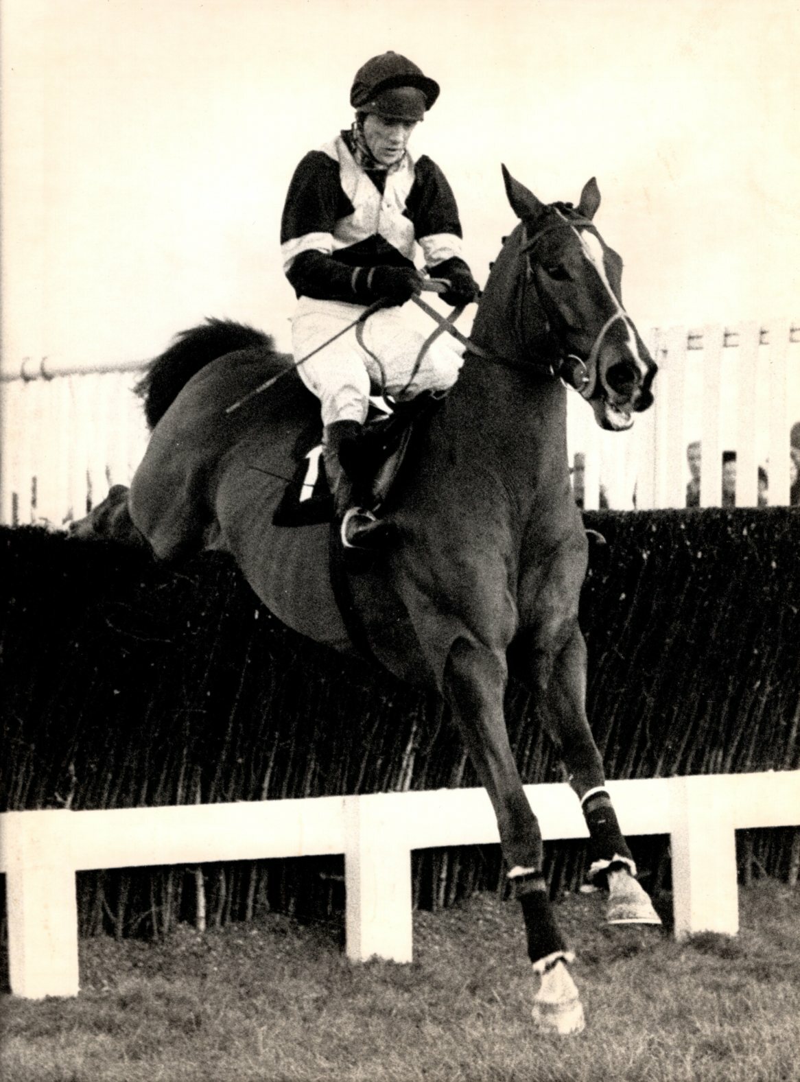 Original Press Photo Horse Racing Jockey Brendan Powell Barnbrook Again ...