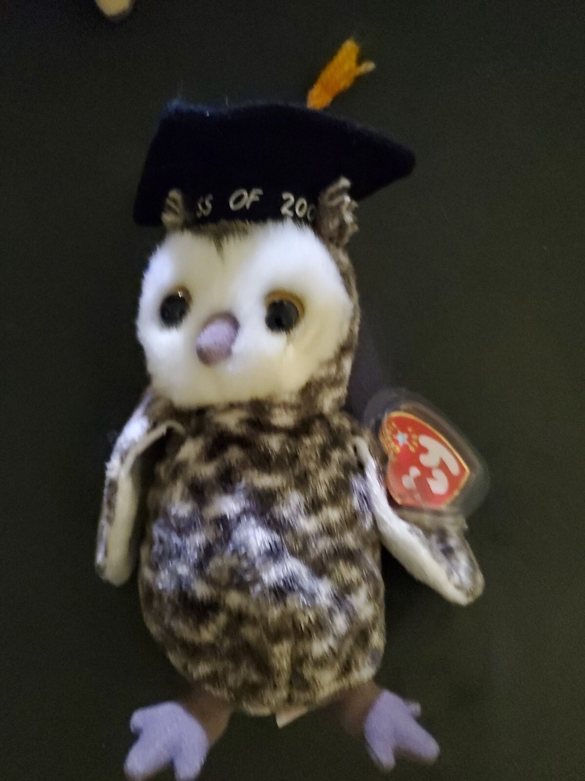 TY beanie baby owl "SMART" Class of 2001 Graduation OWL with tag | eBay