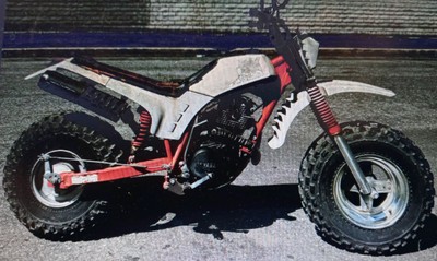 Vintage 1986 Yamaha Big Wheel BW200 dirt bike motorcycle Rare HTF | eBay