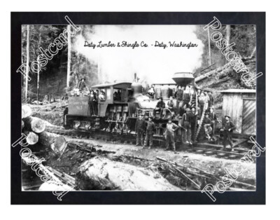 Historic Doty Lumber & Shingle Co. - Doty, Washington Train Postcard | eBay