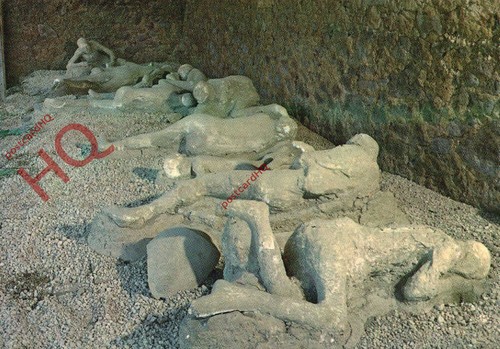 Picture Postcard-:Pompei, Calchi Di Fuggiaschi In Un Orto | eBay