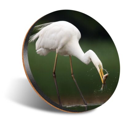 1x Round Coaster 12cm Great Egret Bird Nature #51067 | eBay UK