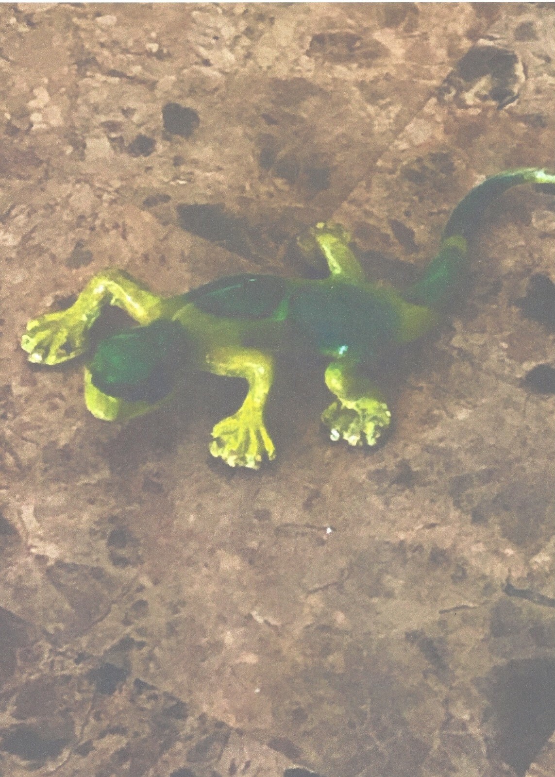 "Lemon Lime Lizard" Bronze Sculpture by Barry Stein | eBay