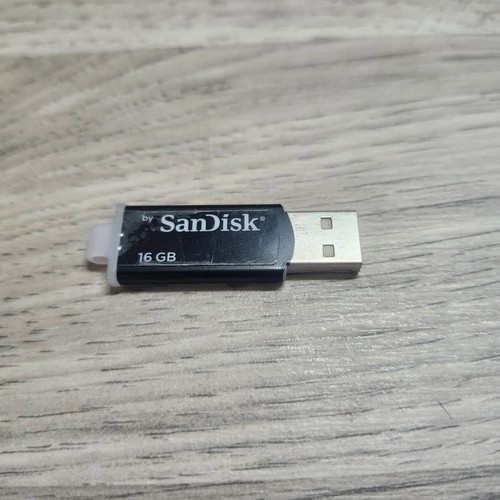 Official Xbox 360 Sandisk 16GB USB Flash Drive Memory Stick | eBay