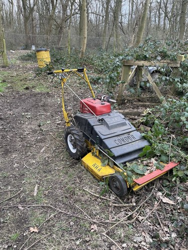 Hayter Condor 32 Inch Rough Cutting Mower | eBay UK