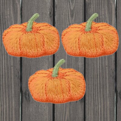 Pumpkin Embroidered Patch — 3-Pack — Iron On | eBay