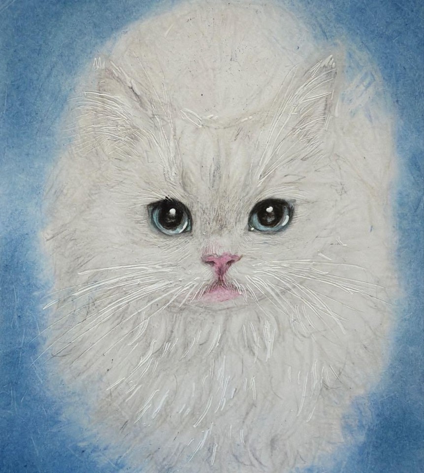 Cat Painting Kitten Illustration Watercolor Colored Pencil Oil Original ...