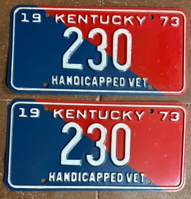 Kentucky 1973 MILITARY HANDICAPPED VETERAN License Plate PAIR # 230 | eBay