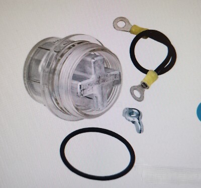 Raypak 017960F Protek Shield Assembly | eBay