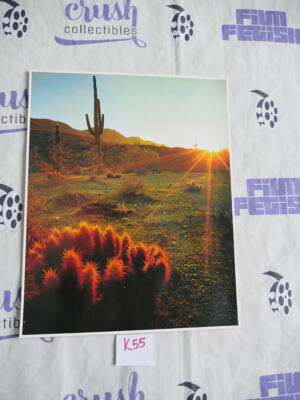 Ed Cooper Desert Glows in the Evening Sun Landscape Photo Print [K55 ...