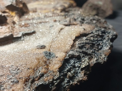 Must See Michigan Iron Oar Taconite Druzy Quartz Geode Mineral Specimen ...