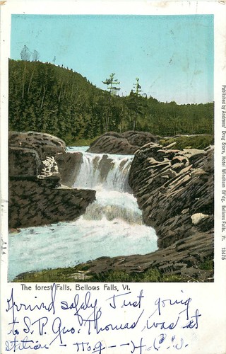 1905 UDB POSTCARD THE FOREST FALLS BELLOWS FALLS VT VERMONT | eBay