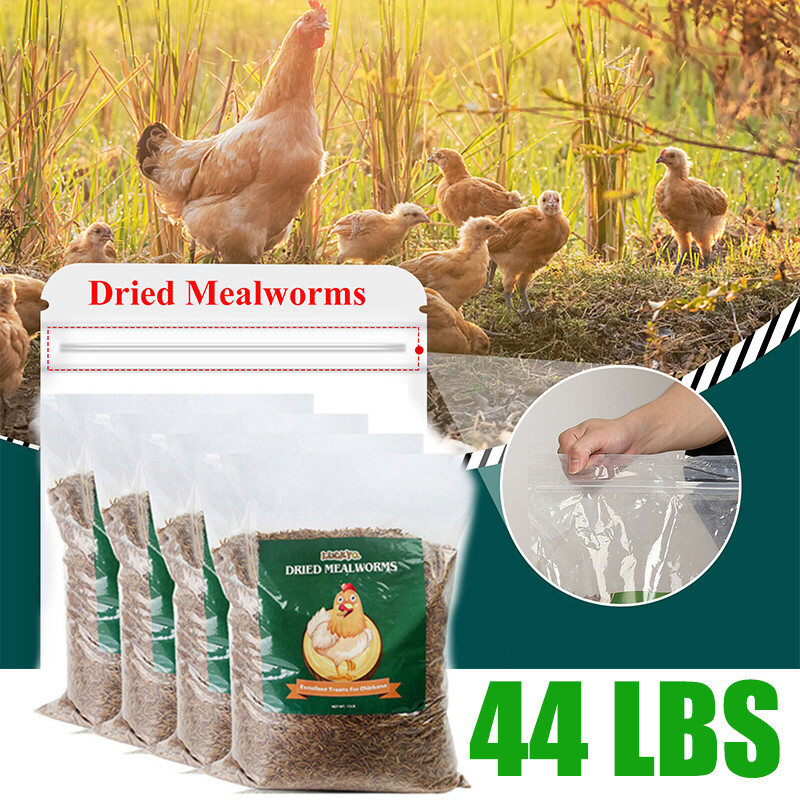 22/44 LBS Bulk Dried Mealworms for Wild Birds Food Blue Bird Chickens ...
