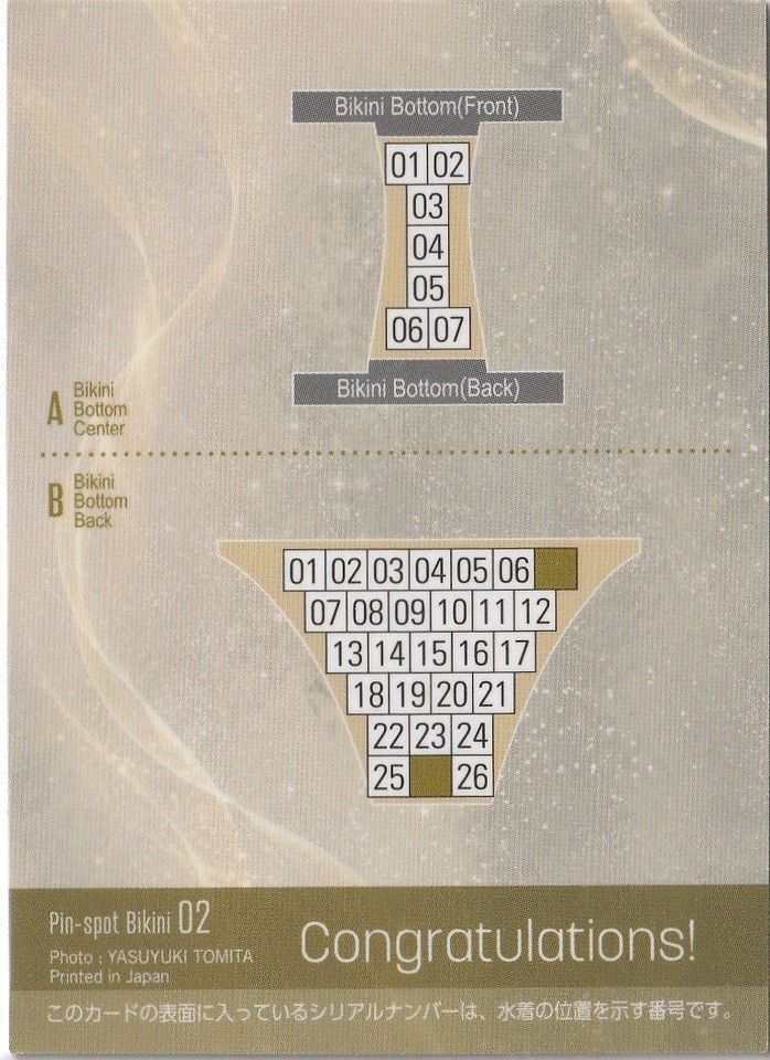 Kei Fubuki Vol.2 8/26 Pinspo Bikini Card 02 Back Super Trading | eBay