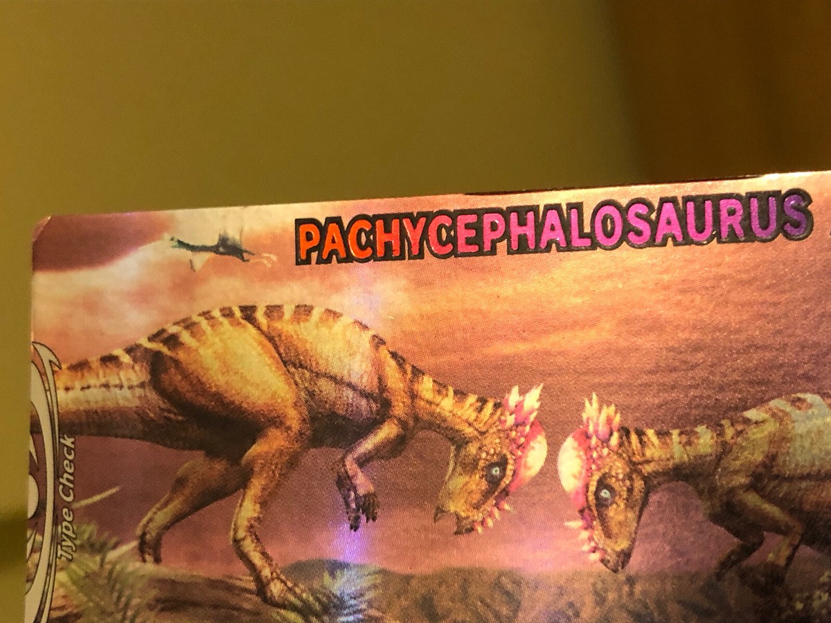 Pachycephalosaurus Dinosaur King