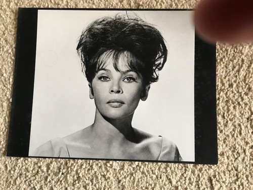 Leslie Caron Actress singer original photo on card from TV archives | eBay