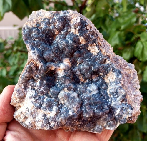 Blue Botryoidal Agate Uv Reactive Fluorescent Mineral Specimen | eBay