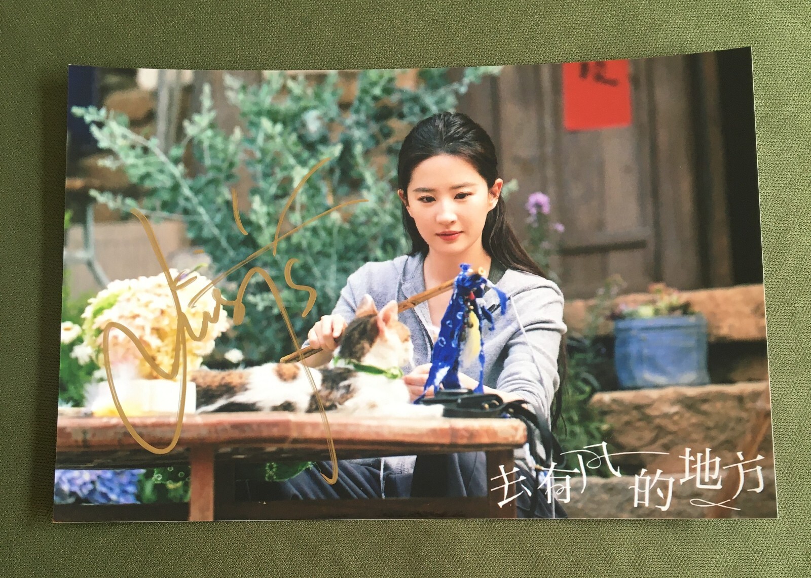Meet Yourself Crystal Liu Yi Fei Li Xian Autographed Signed Photo 4*6 ...