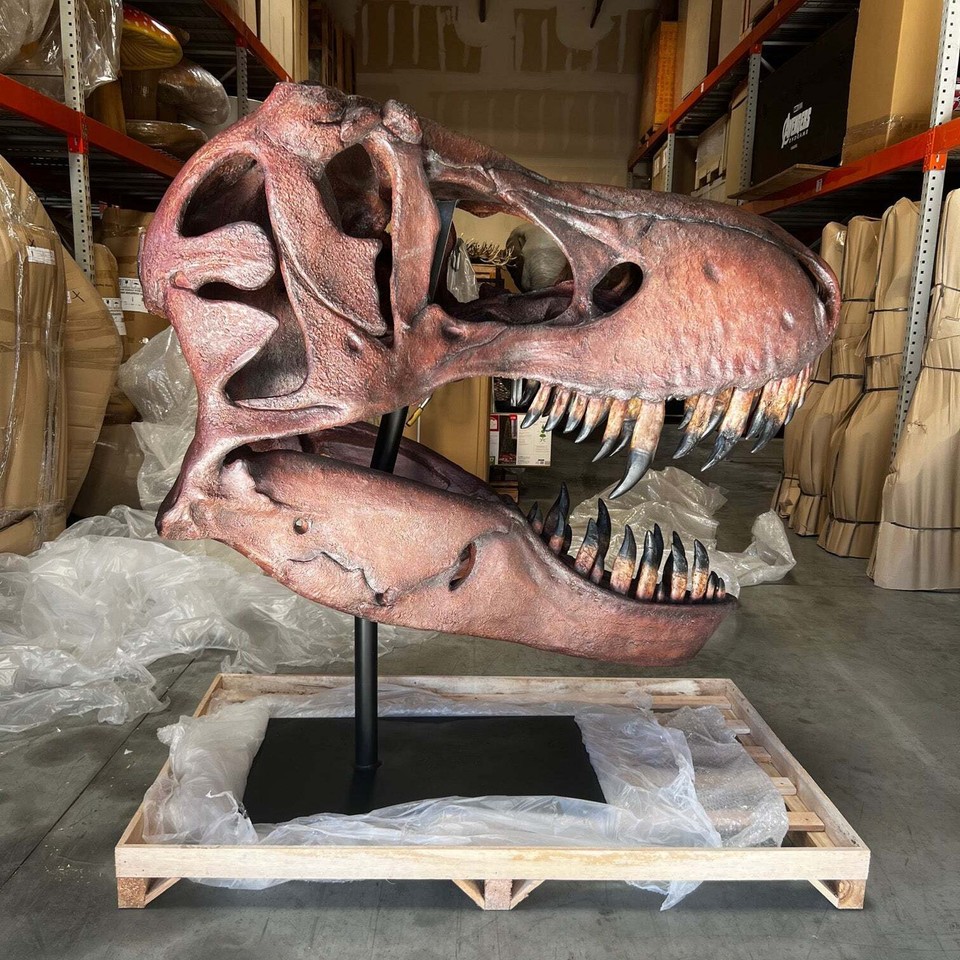 Jumbo T-Rex Skull On Base Life Size Resin Statue Jurassic Theme Prop ...