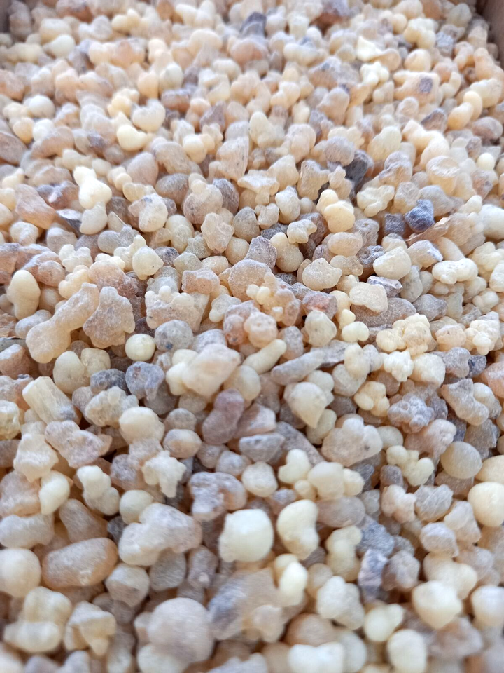 Natural Authentic Organic Pure Frankincense Resin Gum Rock Incense ...