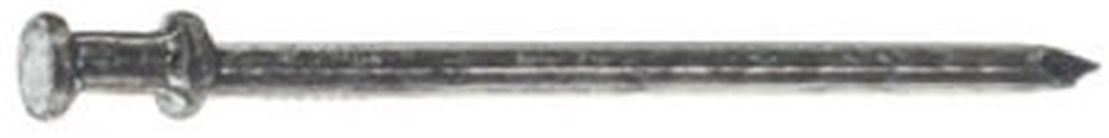 8d Bright Duplex Nail - 8 Pounds Double Head for Temporary Nailing ...