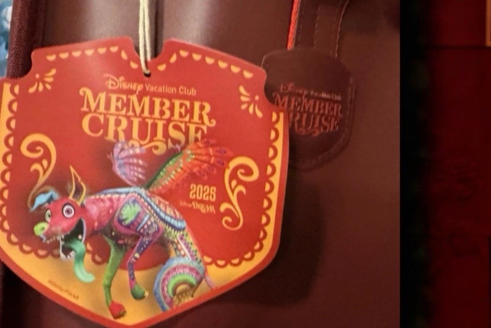 Disney Vacation Club DVC Member Cruise 2025 Coco Dante Bag New Beach ...